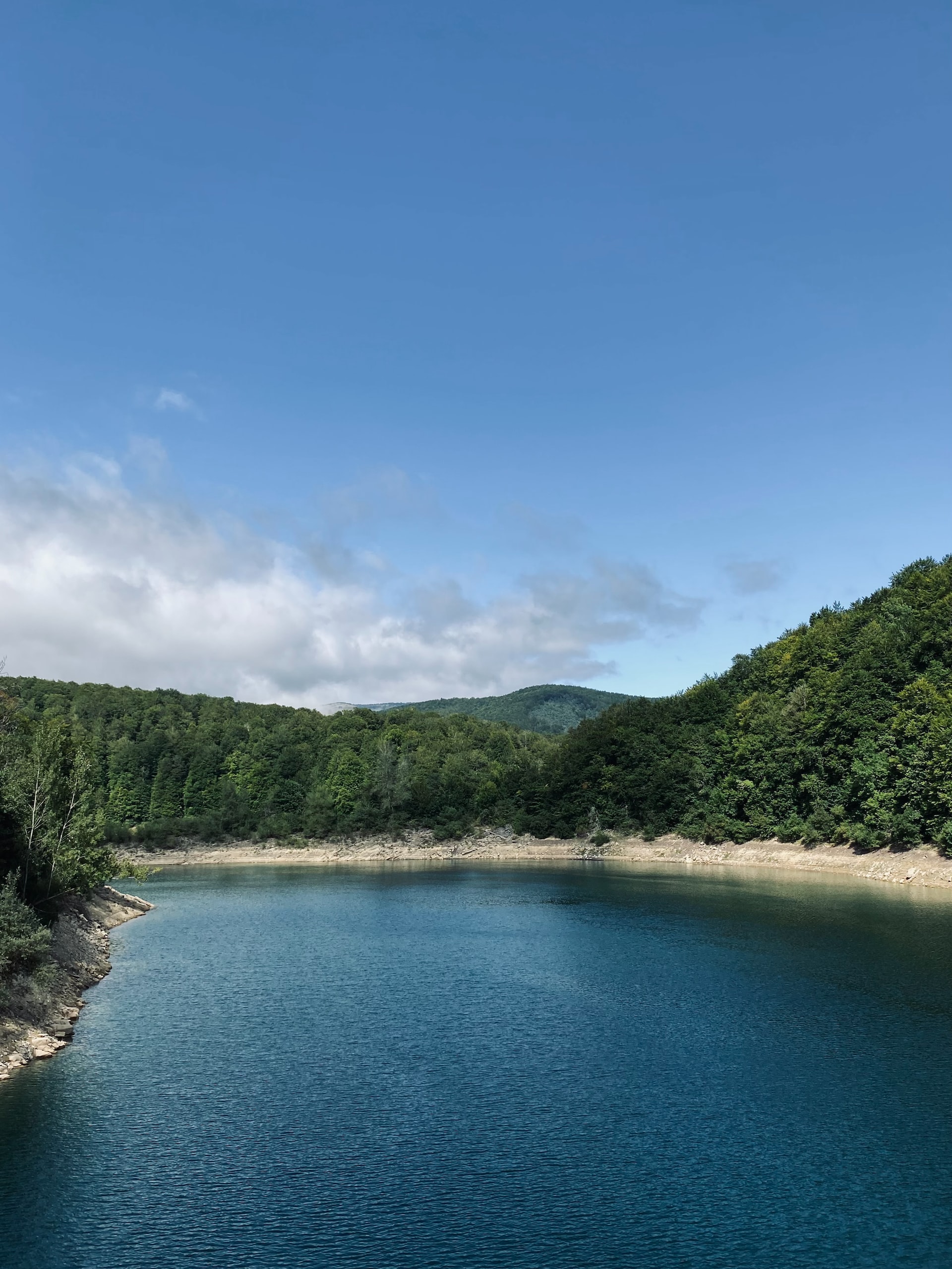 Un bosque de cuento: la Selva de Irati - Viajar es vivir