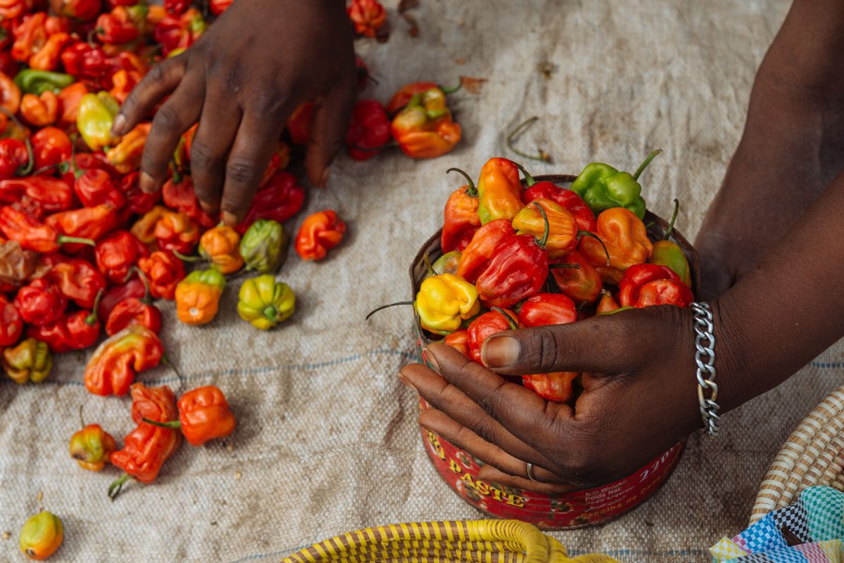 Cocina con Ida, sabores de Gambia - Viajar es vivir