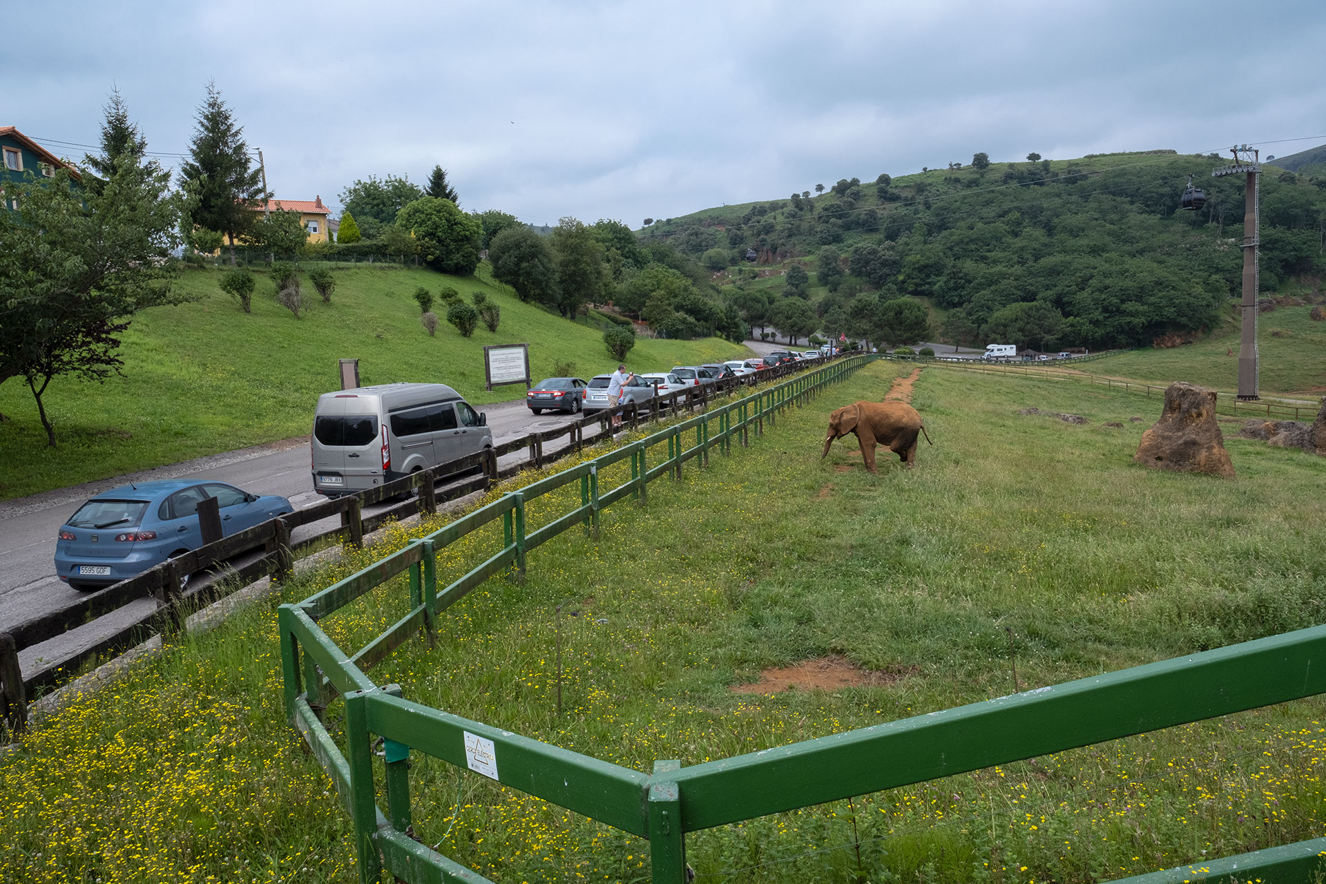 Parque De La Naturaleza De Cab rceno Viajar Es Vivir