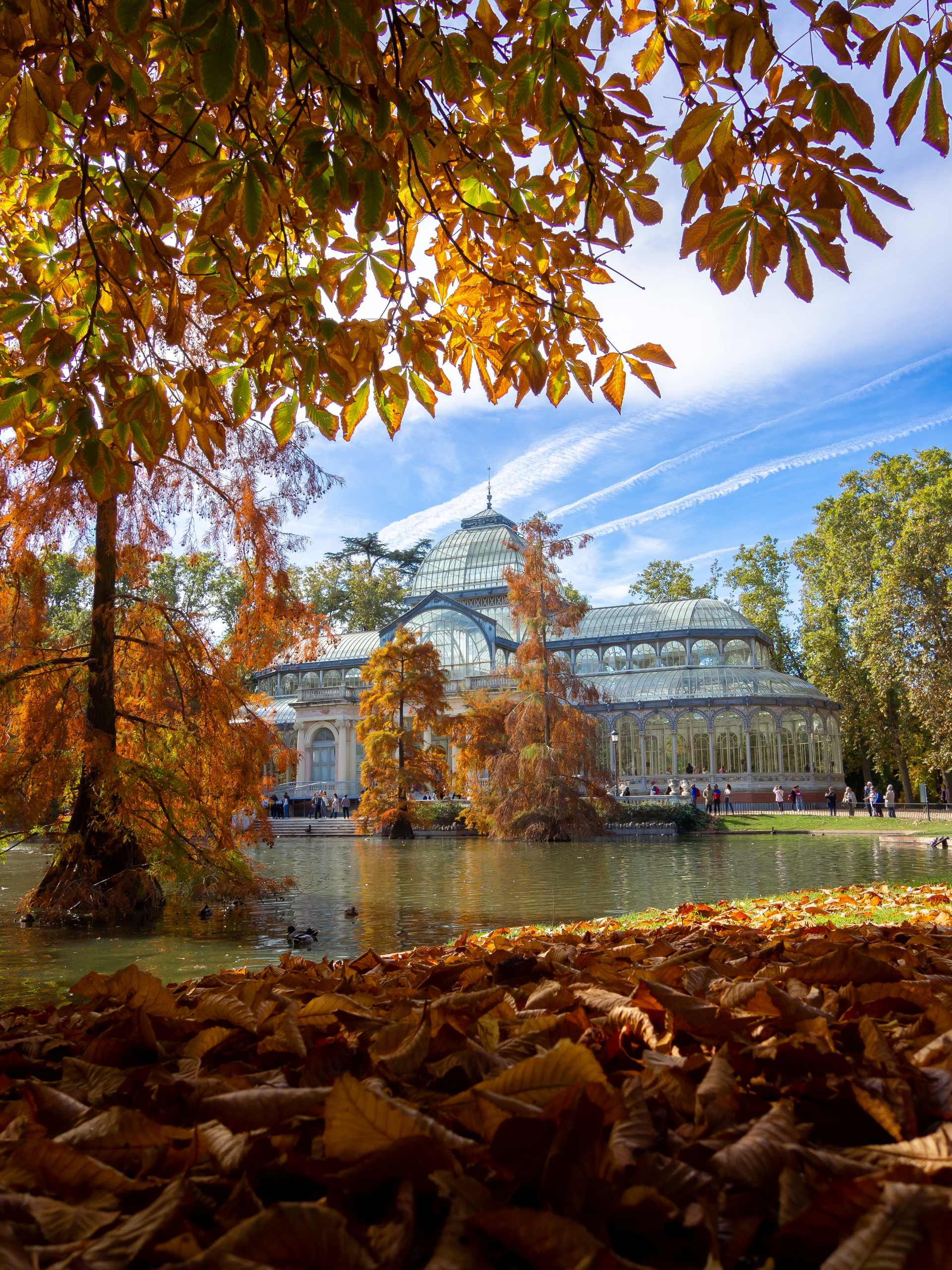 Planes Imperdibles para el Otoño en Madrid - Viajar es vivir